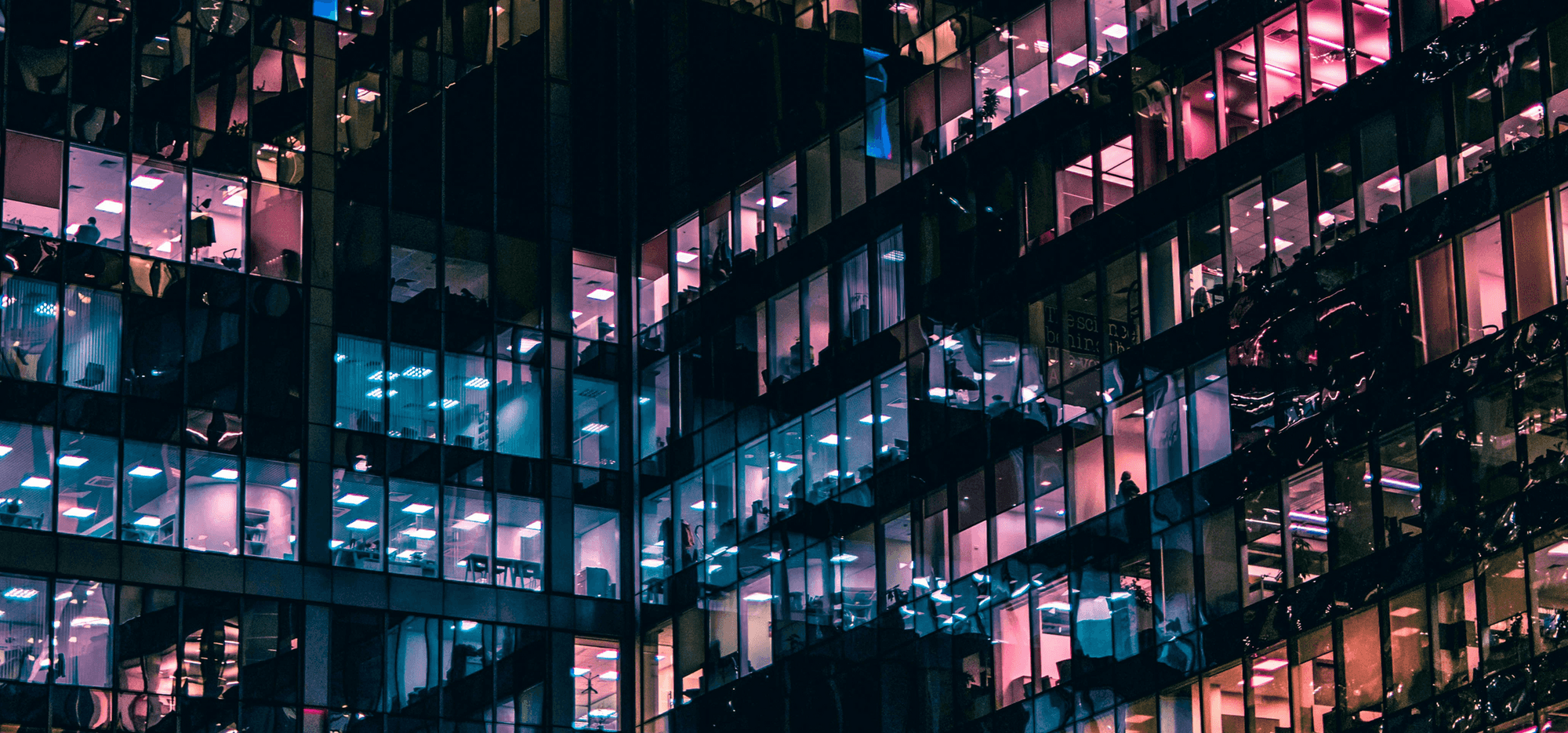 Payment Integrity Solutions for Healthcare Payers | CERIS